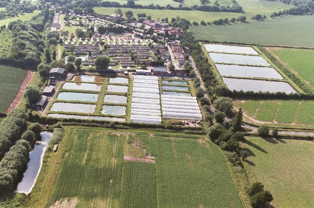 Fish farming – how hard can it be? – Creating a better place