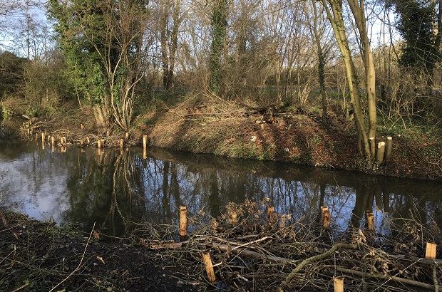 Partnership working on an urban river: Bracknell’s River Cut – Creating ...