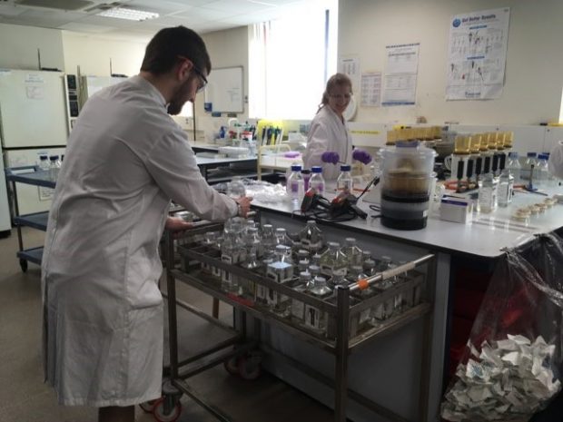 Science behind the samples – Creating a better place