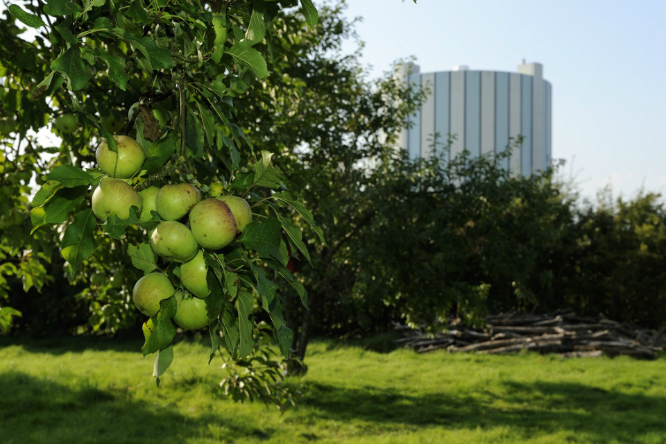 Monitoring radioactivity in the environment – Creating a better place