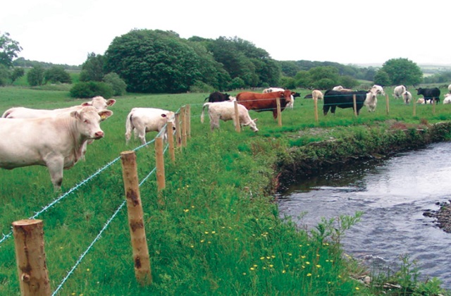 The vital role of farmers in protecting the environment – Creating a ...