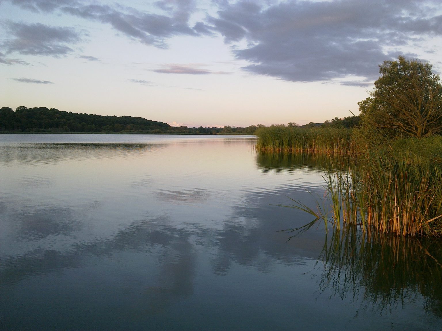 The state of our waters: the facts – Creating a better place