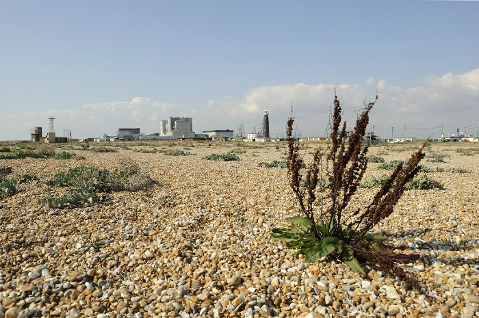 Monitoring radioactivity in the environment – Creating a better place