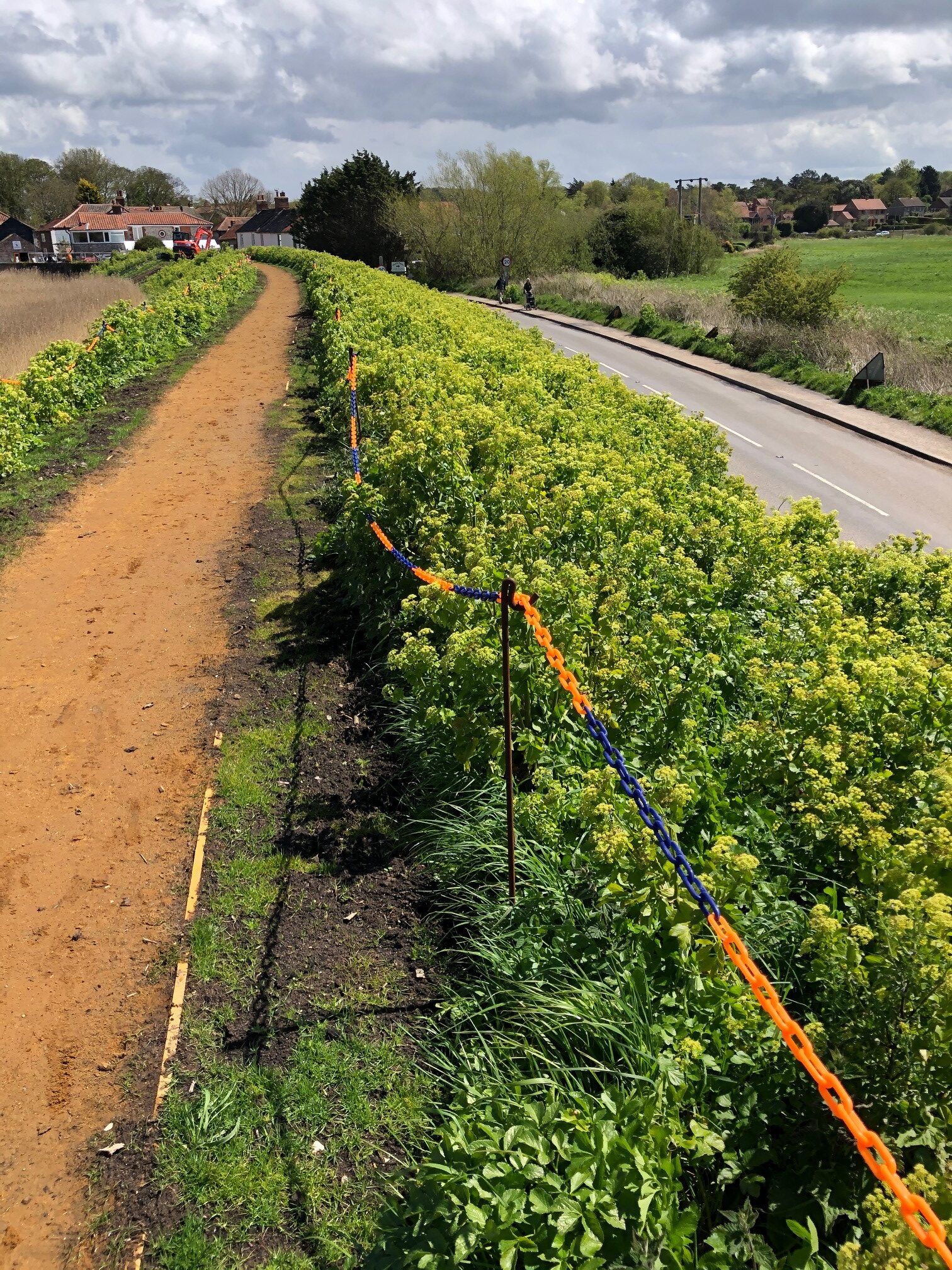 On target to tackle invasive species – Creating a better place