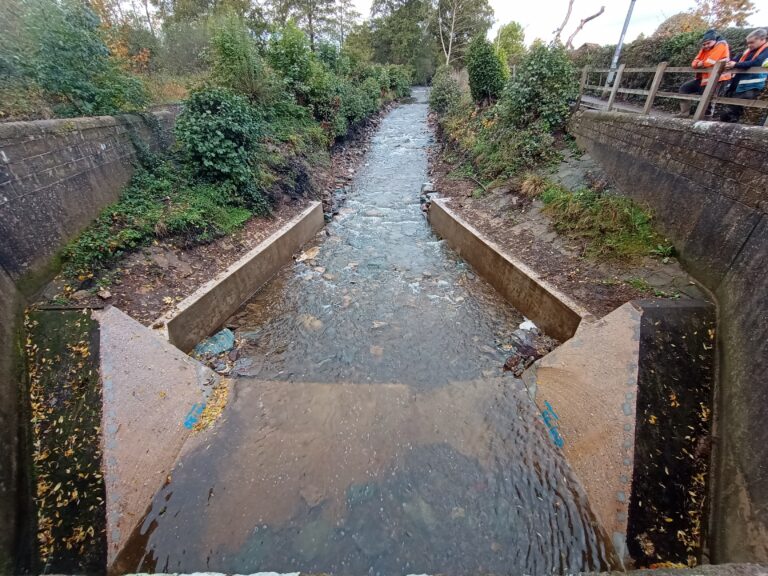 Snake Lane Weir Removal and Fish Pass Project – Creating a better place