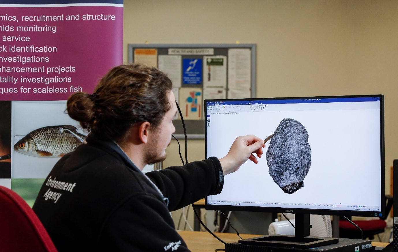 The scale reveals all: How do you age a fish? – Creating a better place