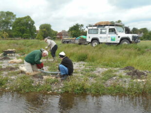 LITTLE STOUR CHALK STREAM RESTORATION BLOG – Creating a better place