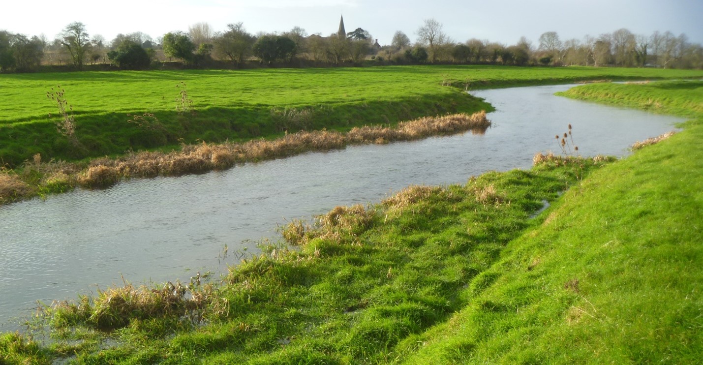 LITTLE STOUR CHALK STREAM RESTORATION BLOG – Creating a better place