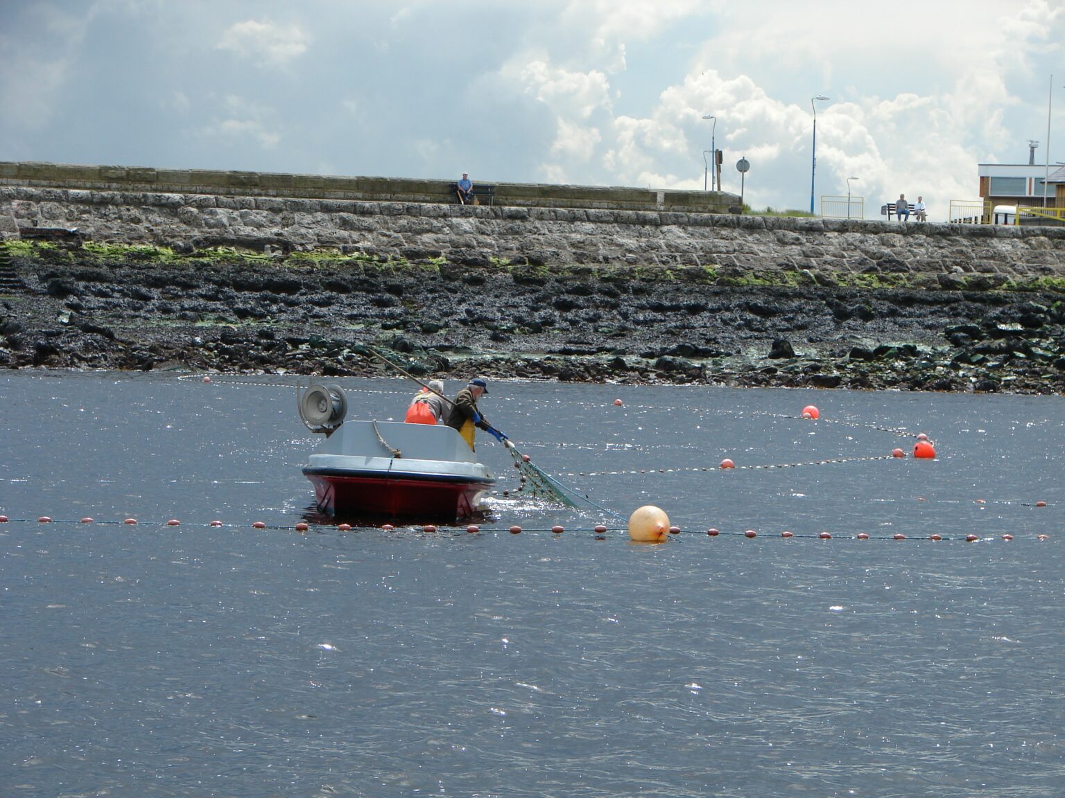 Results from the latest report into UK salmon stocks – Creating a ...