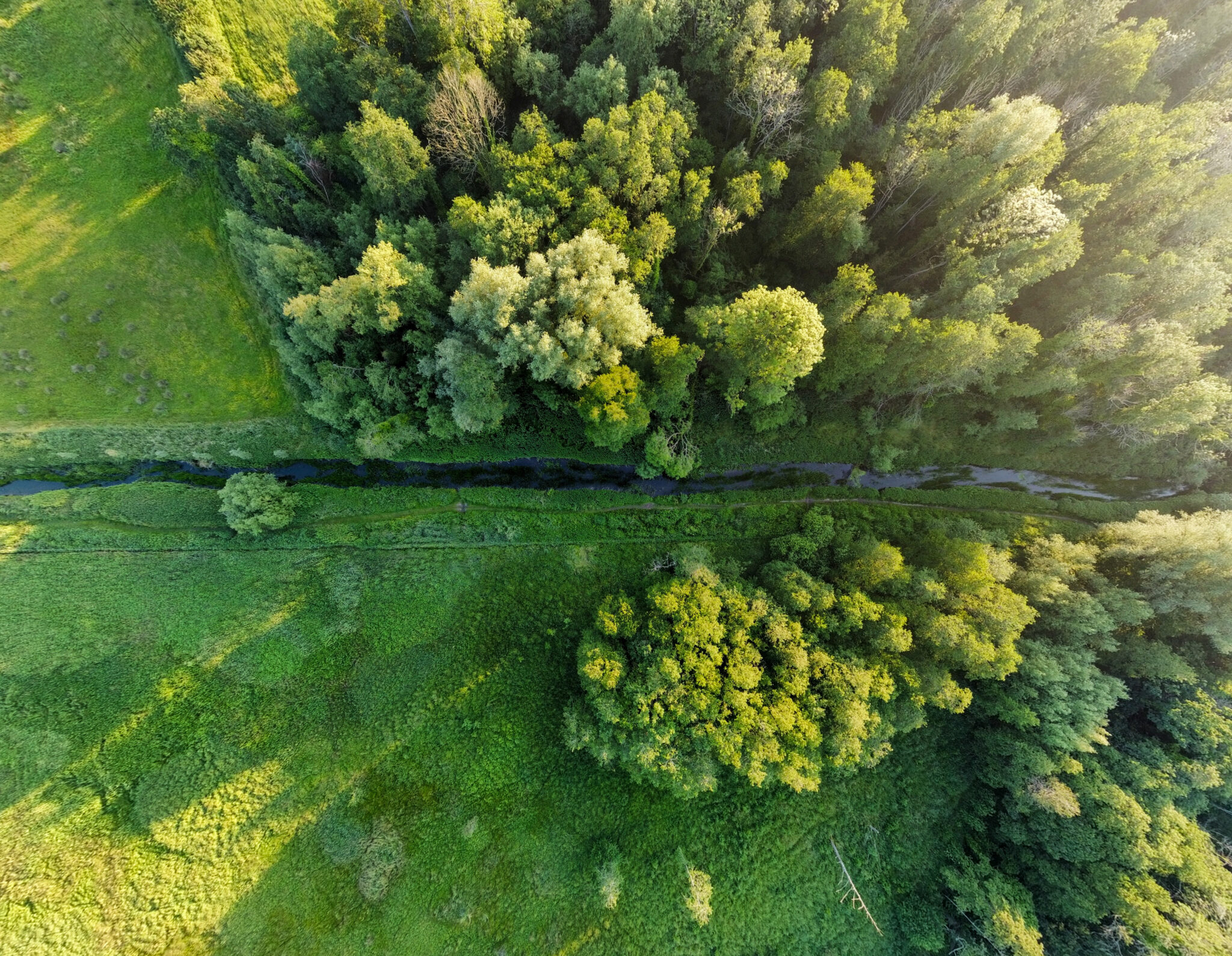 Wendling Beck Environment Project – building financial and ...