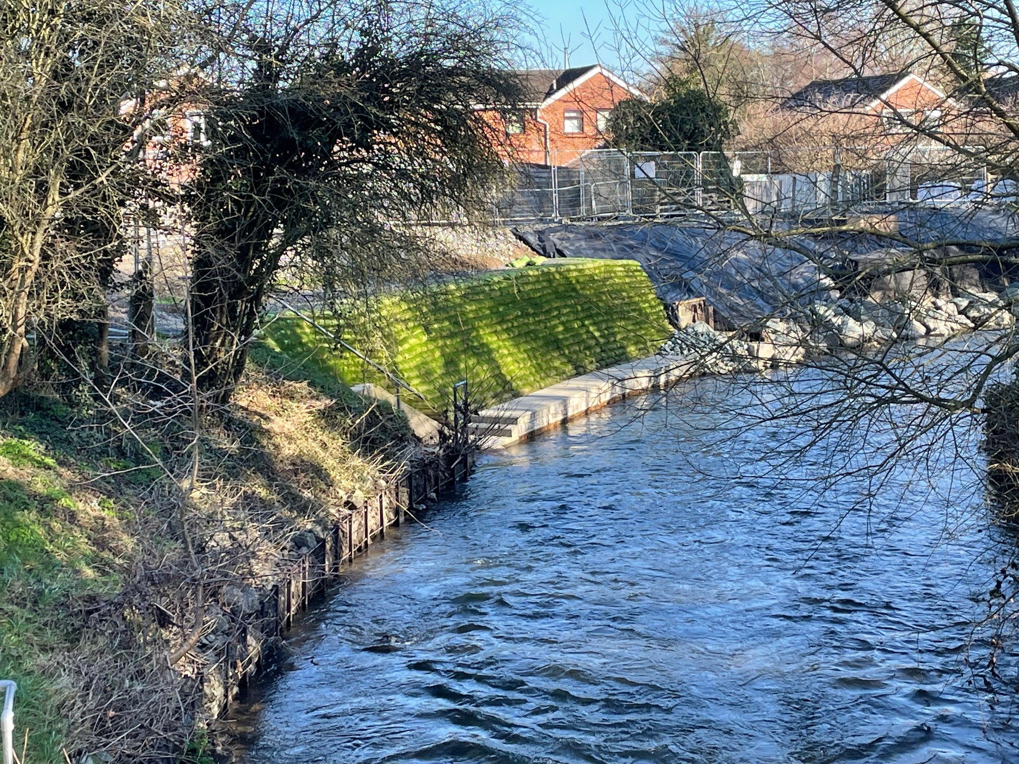 Creating a Wildlife Corridor in the River Lugg – Creating a better place
