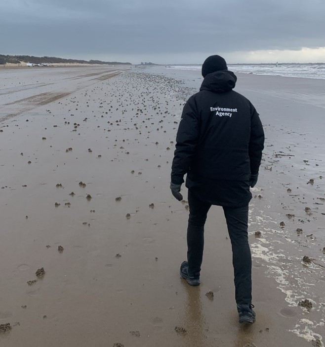 Environment Officer Joseph Holder explains how weekly beach walkovers ...