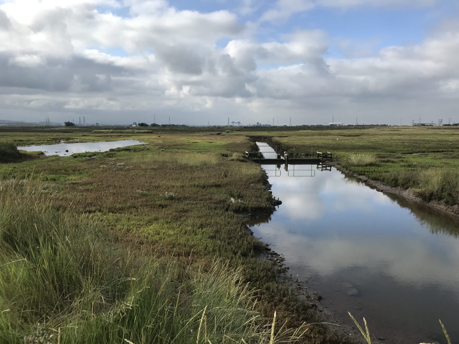 Creating a better place – News and updates from the Environment Agency