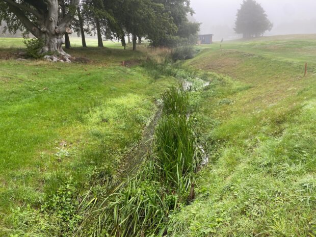 Working to Improve Lincolnshire’s Chalk Streams – Creating a better place