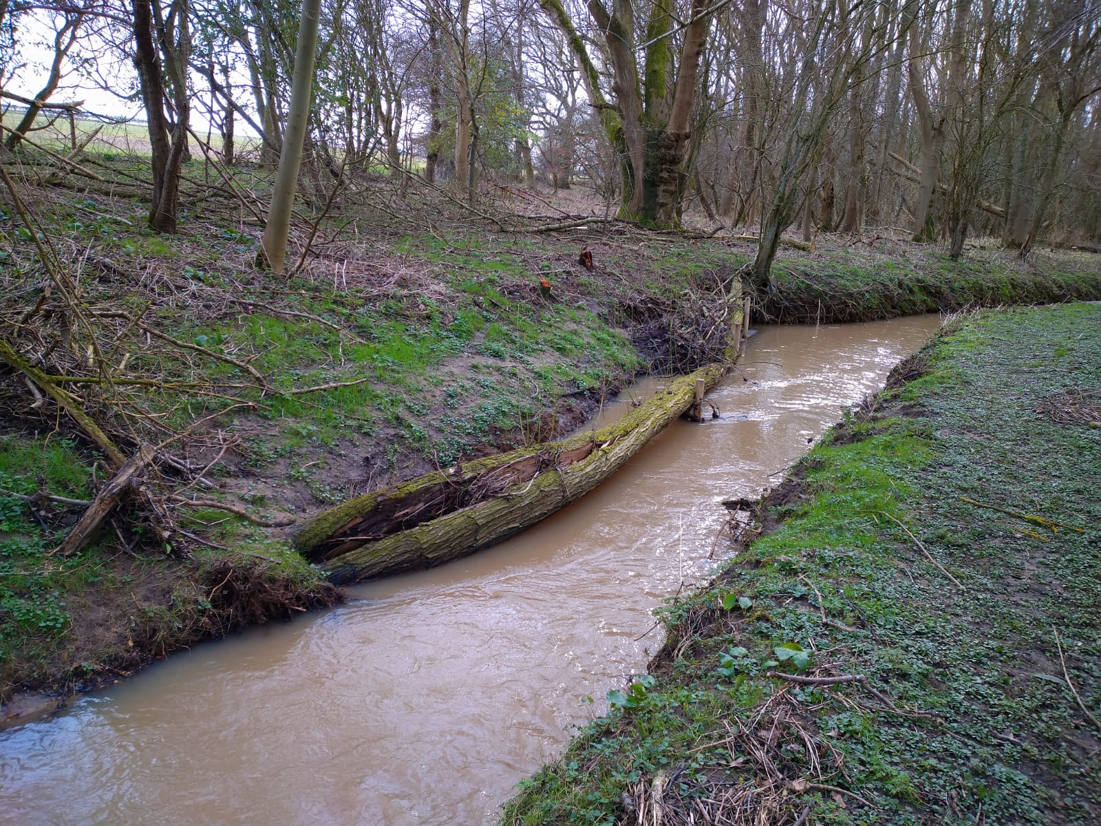 Working to Improve Lincolnshire’s Chalk Streams – Creating a better place