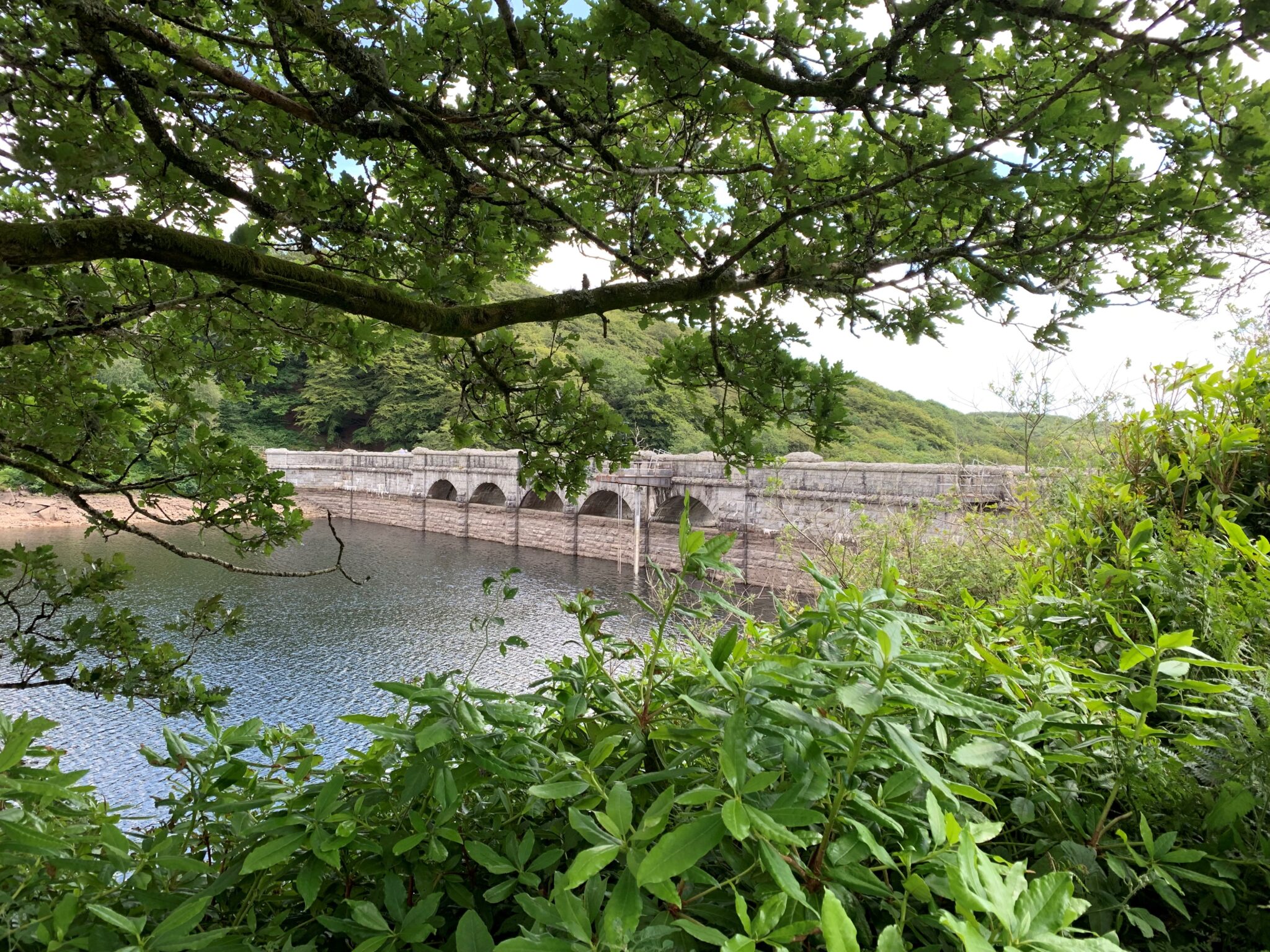 Meeting our Water Needs for the Next 25 Years – Creating a better place