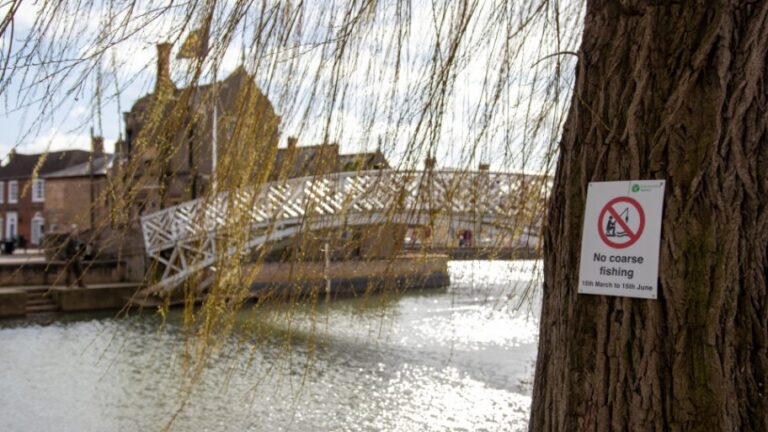 Protecting our freshwater fish species – why the close season is so ...