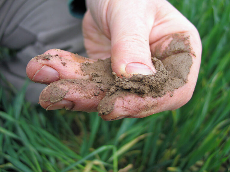 Farming Rules for Water: The vital role of soil testing – Creating a ...