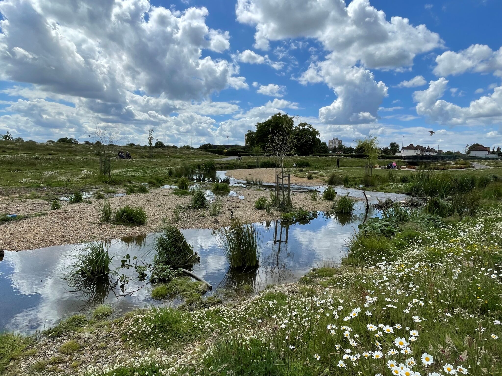 Creating A Better Place News And Updates From The Environment Agency