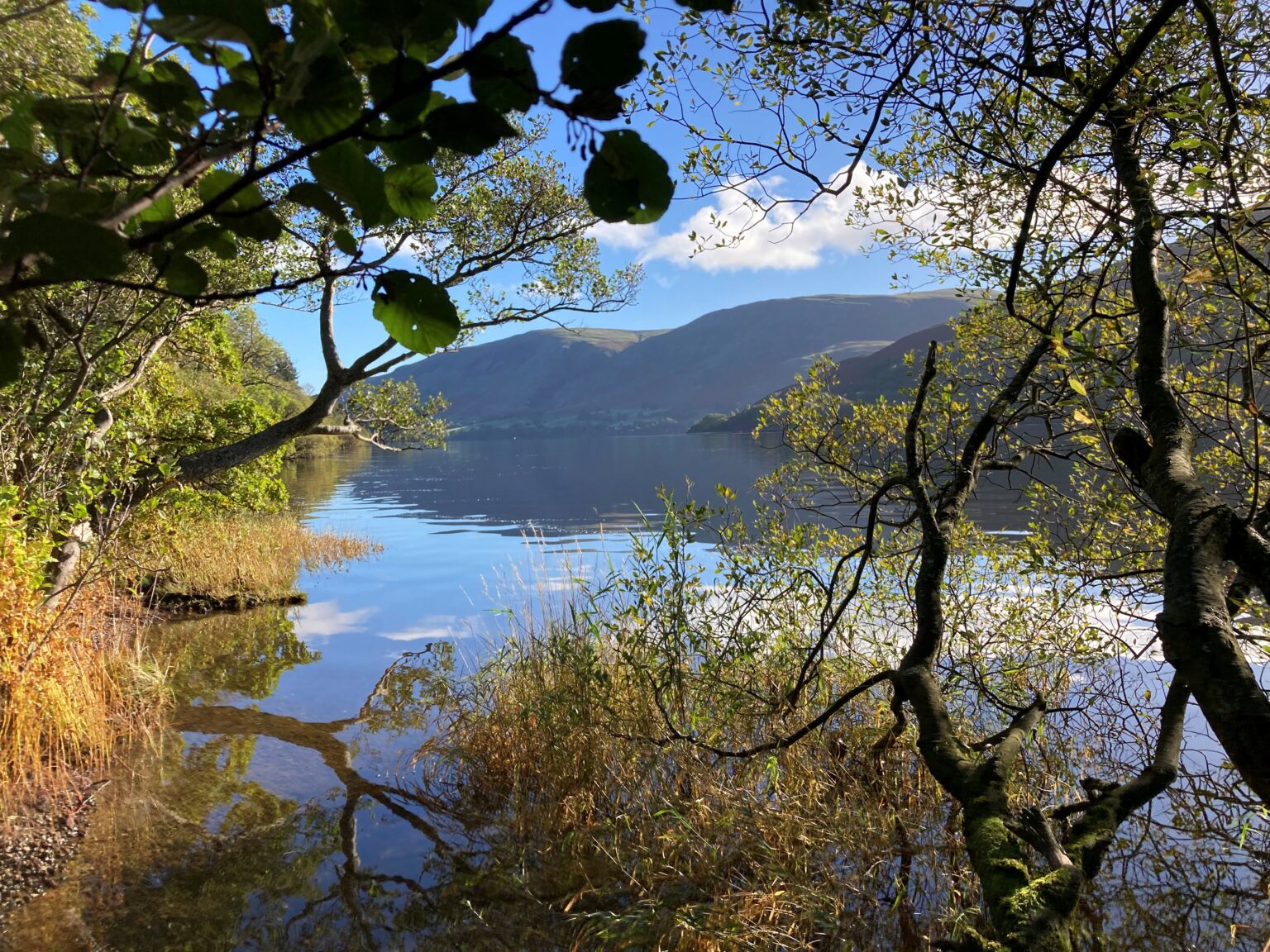 How the Environment Agency is conserving and enhancing biodiversity ...