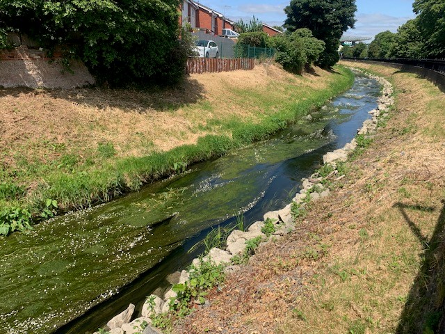 How grass cutting on flood defences reduces the risk of flooding ...