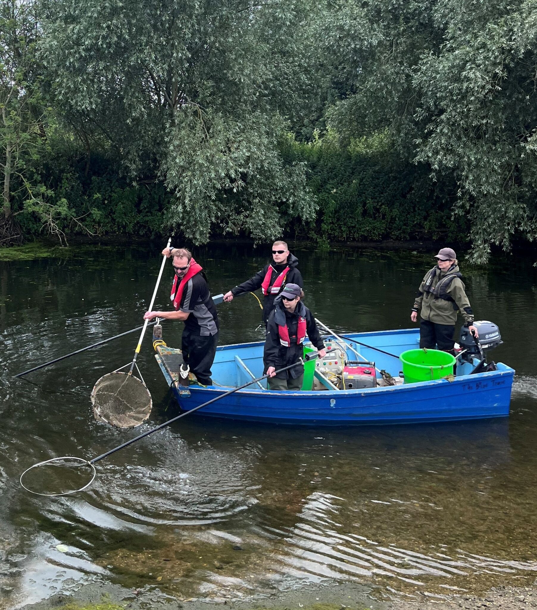 Surveying fish on the River Stour – Creating a better place