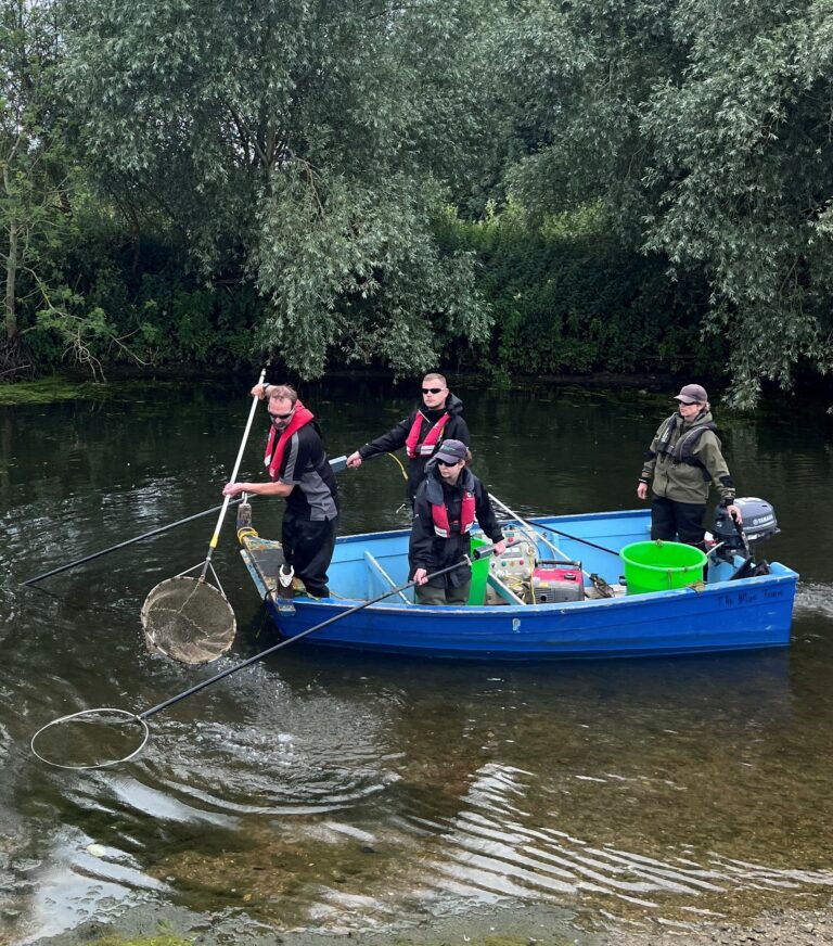 Surveying fish on the River Stour – Creating a better place
