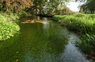 Creating a better place – News and updates from the Environment Agency