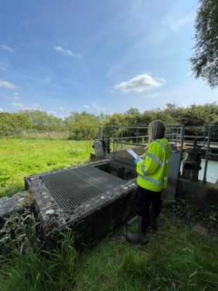 Day in the life of a new Environment Officer – Creating a better place