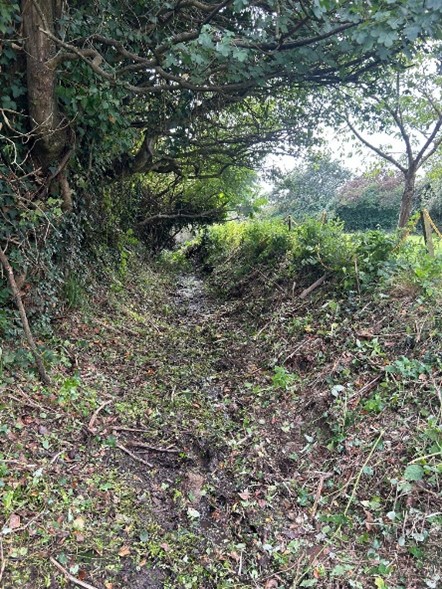 Spotlight on the field teams working in Hampshire and Sussex to reduce ...