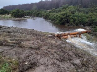 Local Nature Recovery Strategies: how nature can help drive ...