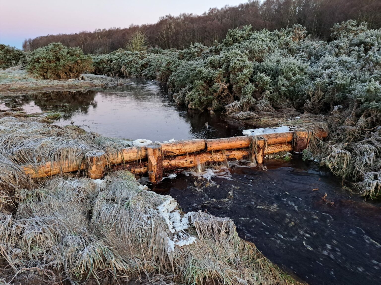 Working together to create natural, sustainable solutions to climate ...