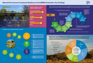 More projects improving the environment through nature market ...