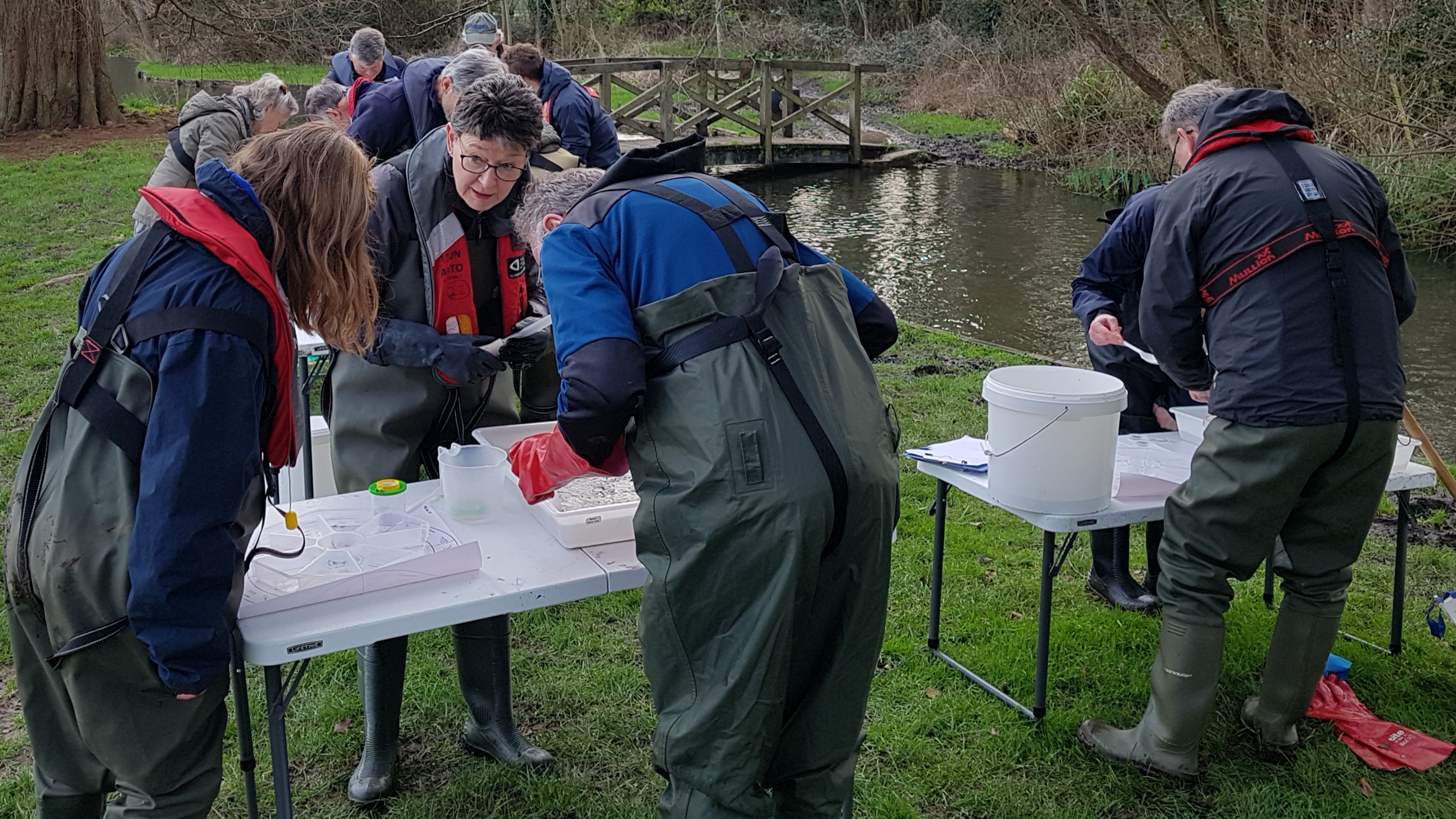 Citizen Science and the Environment Agency – Creating a better place