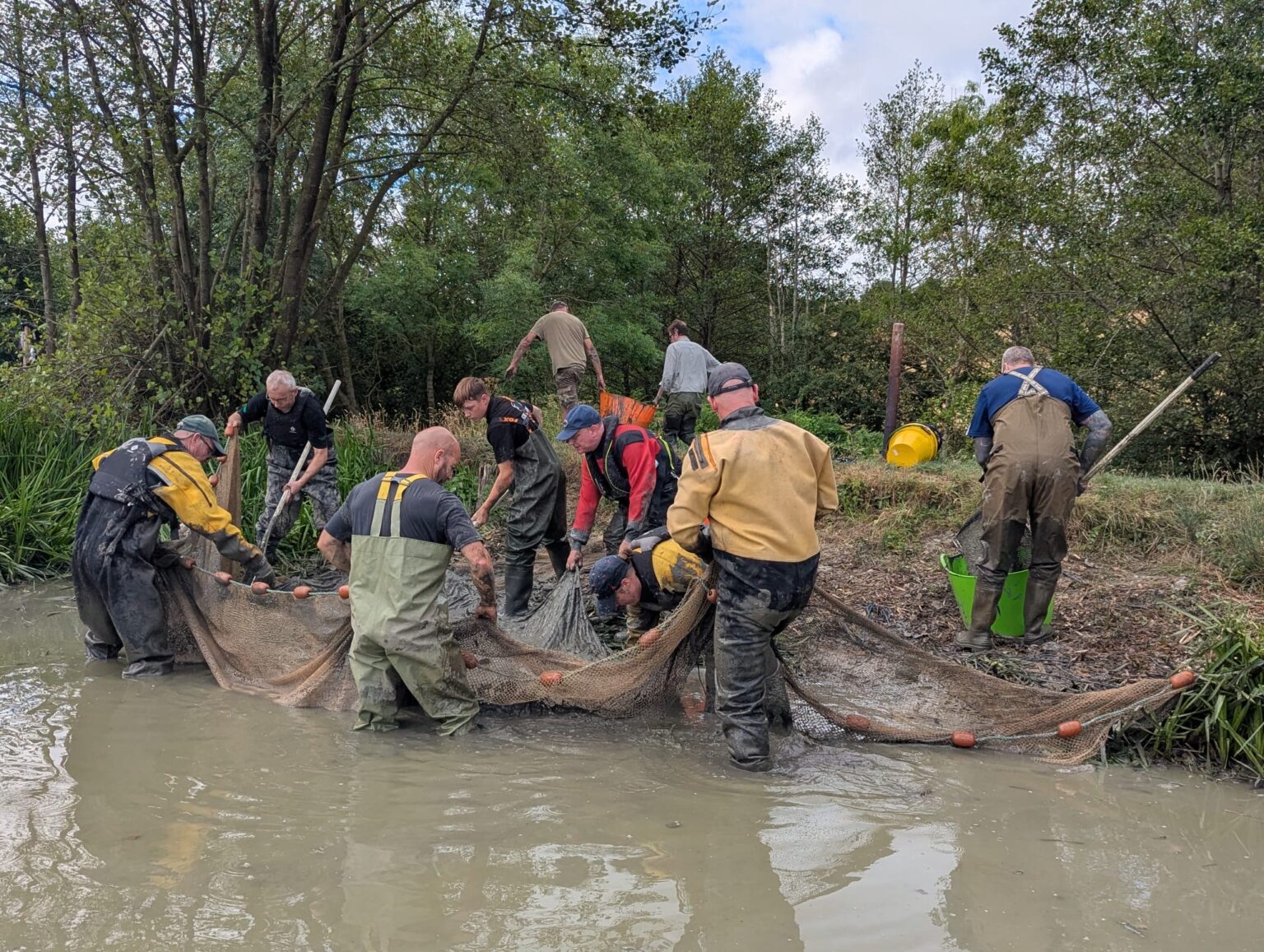 From Fish to Rare Crayfish: England’s Drought Wildlife Rescue ...